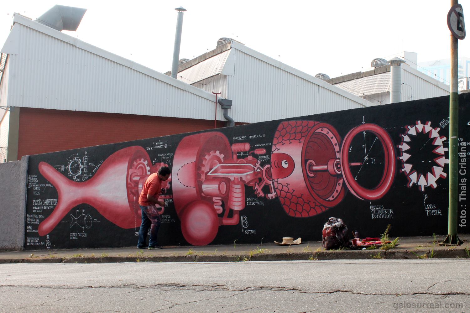 Conheça o artista “Galo” e seus graffitis surreaisArtista Galo e seus ...