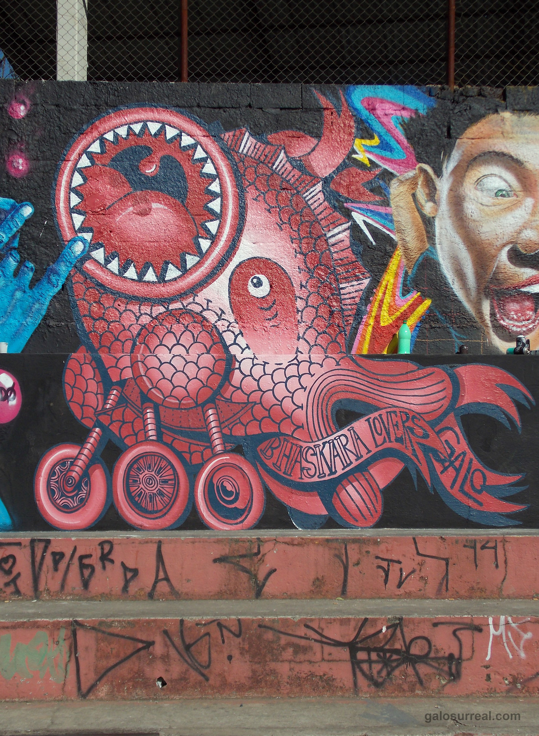 Conheça o artista “Galo” e seus graffitis surreaisArtista Galo e seus ...