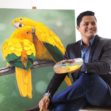 Conheça o pintor Petterson SilvaArtista Petterson Silva e suas pinturas ...