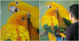 Conheça o pintor Petterson SilvaArtista Petterson Silva e suas pinturas ...